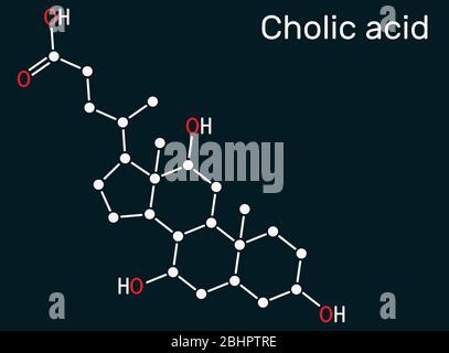 Acido colico, molecola C24H40O5. È il principale acido biliare primario ...