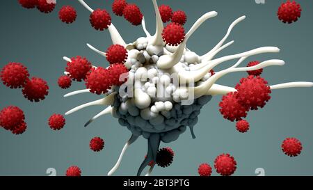 Cellule dendritiche e particelle di virus, illustrazione. Le cellule ...