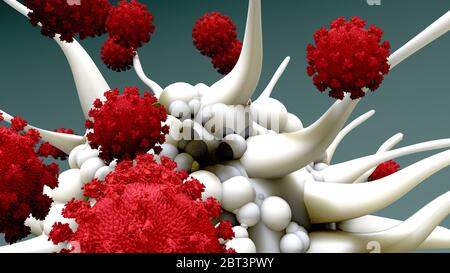 Cellule dendritiche e particelle di virus, illustrazione. Le cellule ...