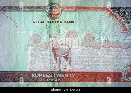 Venti rupie, rupia nepalese, Nepalesische Rupie, NPR, nepáli rúpia ...