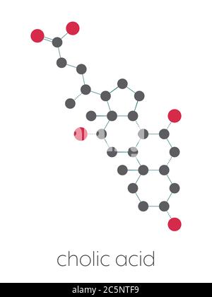 Molecola di acido colico (colato). Componente principale dell'acido ...