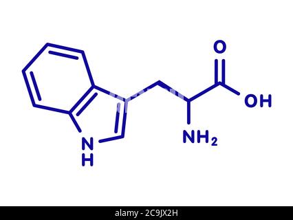 Triptofano, formula scheletrica e struttura. L-triptofano, un ...
