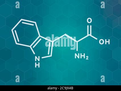 Triptofano, formula scheletrica e struttura. L-triptofano, un ...