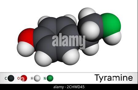 Tiramina, molecola di tiramina. Si tratta di composto monoamminico ...