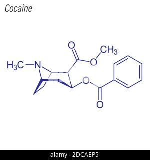 Struttura molecolare della cocaina. Formula chimica scheletrica della ...