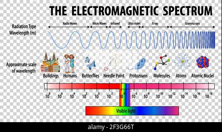 Diagramma dello spettro elettromagnetico scientifico su sfondo trasparente Immagine e Vettoriale ...