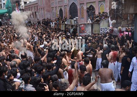 I musulmani sciiti pakistani prendono parte ai rituali lutto per simbolizzare il cavallo che ha ...