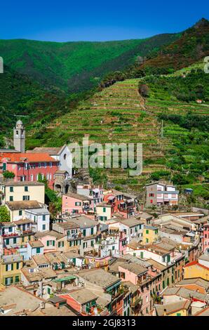 La città di Vernazza e vigneti circostanti dal Castello dei Doria ...