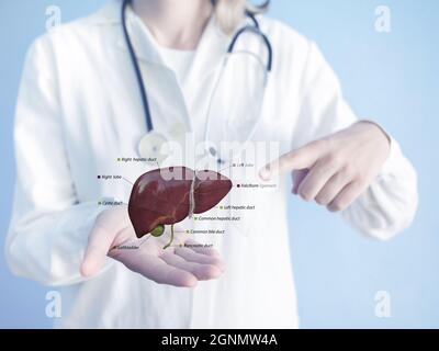 Tossine, fegato. Processo di disintossicazione ed eliminazione. Entrare ...