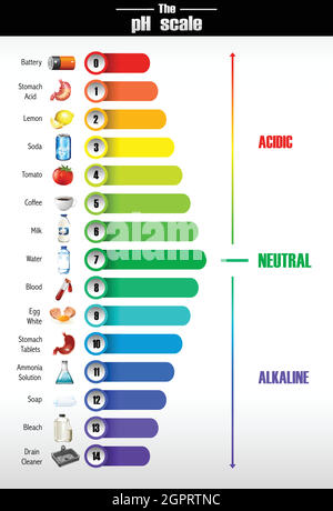 Scala PH del bilancio degli acidi alimentari, grafico con indicatori ...
