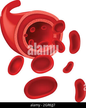 I globuli rossi umani,monociti (cellule bianche del sangue),piastrine ...