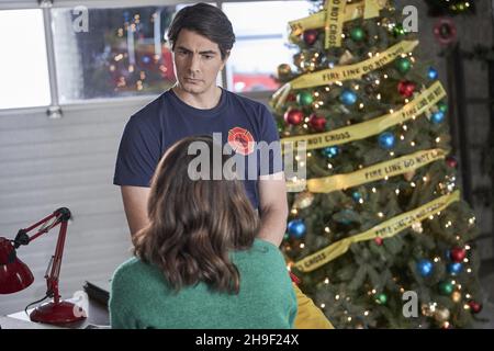 NOVE VITE DI VACANZE, (alias NOVE GATTINI DI NATALE), da sinistra ...