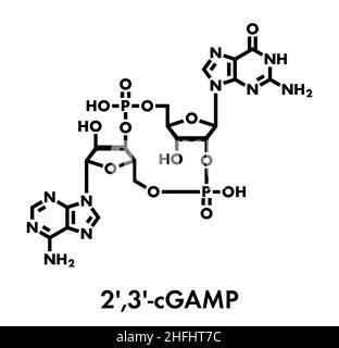 C-GMP-AMP, 2',3' cGAMP, guanosina monofosfato ciclico-adenosina ...