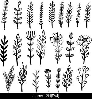 Divisori testo floreali. Rami di albero con foglie e fiori. Vettore ...