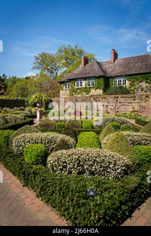 Il giardino del nodo con arbusti topiari e Berberis thunbergii di ...