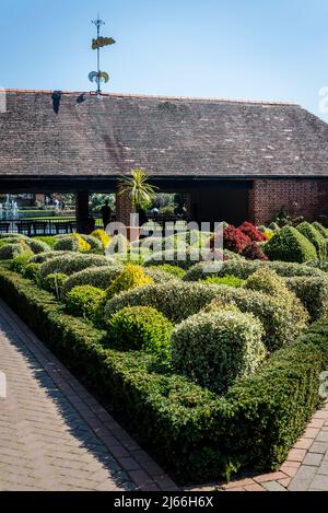 Il giardino del nodo con arbusti topiari e Berberis thunbergii di ...