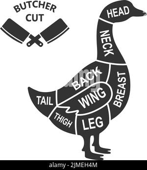 Schema di anatra tagli. Poster dello schema del macellaio ...