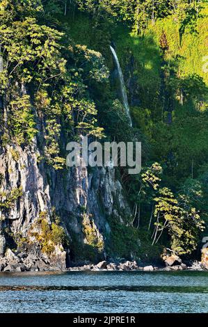 Foresta primaria con una cascata su Cocos Island, Costa Rica, America ...