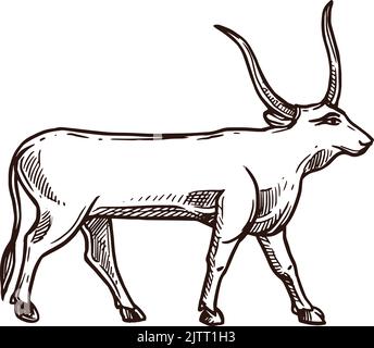 Apis bull sketch, antico Egitto divinità e Dio animale, icona della ...