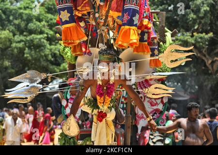 I devoti indù tamil eseguono il rituale para-kavadi (dove sono sospesi da ganci spinti nella ...