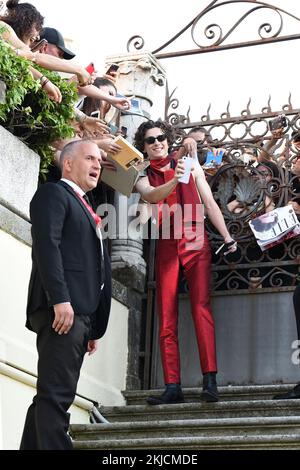 (KIKA) -Â Venezia 79: Timothee Chalamet, Luca Guadagnino, Chloe Sevigny ...