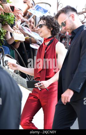 (KIKA) -Â Venezia 79: Timothee Chalamet, Luca Guadagnino, Chloe Sevigny ...