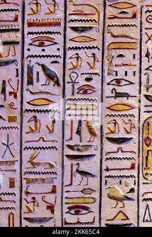 ANTICHI DIPINTI EGIZIANI E GEROGLIFICI NELLA TOMBA DEL FAROAH NELLA ...