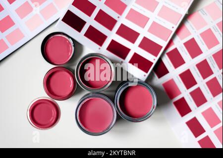 Processo di scelta della vernice per le pareti durante il restauro ...