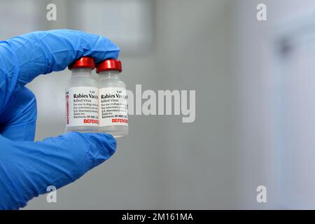 Cairo, Egitto, dicembre 8 2022: Vaccino Rabis ucciso virus per l'uso di ...