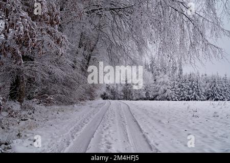 Un paesaggio invernale della pittoresca campagna bavarese ghiacciata a ...