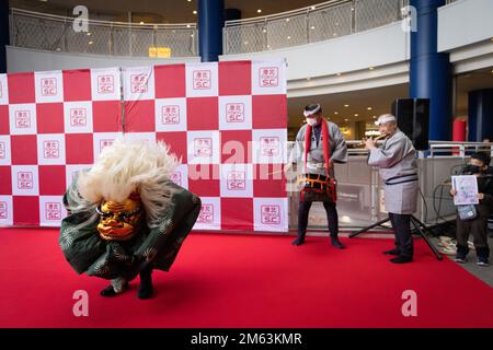 Shishi-mai leone dancer esegue la sua danza per celebrare il nuovo anno ...