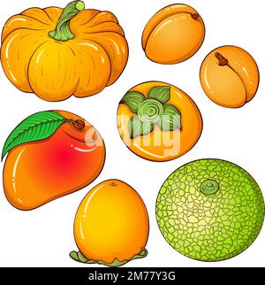 Set di illustrazione dei vari tipi di frutta fresca e bacche Immagine e ...