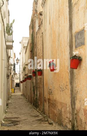 Edifici nel centro storico di Racale Foto stock - Alamy