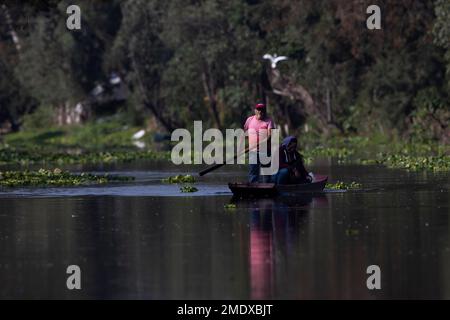 A farmer uses a pole to move his canoe to his floating farm known as ...
