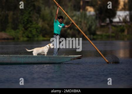 A farmer uses a pole to move his canoe to his floating farm known as ...