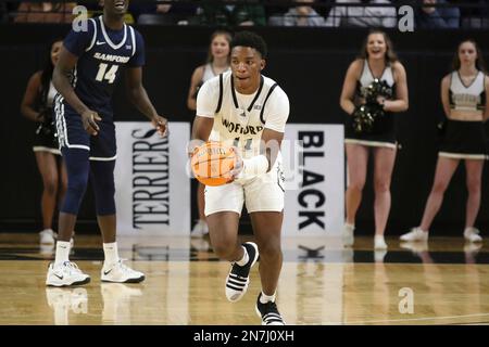 SPARTANBURG, SC - JANUARY 28: Wofford Terriers guard Jackson Paveletzke ...
