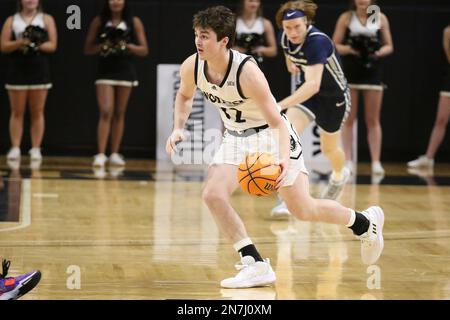 SPARTANBURG, SC - JANUARY 28: Wofford Terriers guard Jackson Paveletzke ...
