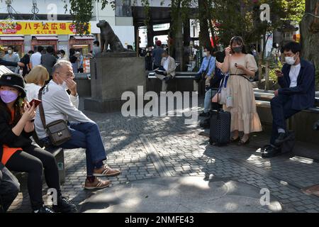 A picture shows a statue of Chuken Hachiko (Hachi the loyal dog) near ...