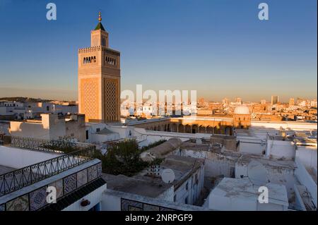 Tunisia: Città di Tunisi. Panoramica di tunisi con la Moschea EZ ...