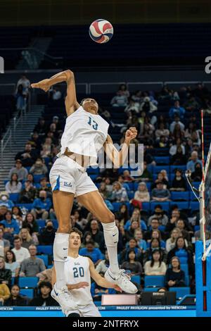 UCLA Bruins Middle Blocker Merrick McHenry (13) durante una partita di ...