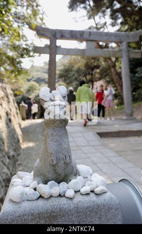 A picture shows Hakuto Jinja Shrine in Tottori, Tottori prefecture on ...