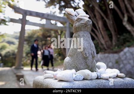 A picture shows Hakuto Jinja Shrine in Tottori, Tottori prefecture on ...
