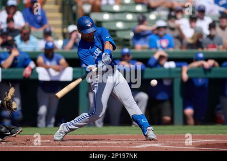 Toronto Blue Jays Vinny Capra (47) bats during a spring training ...