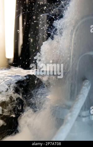 L'azoto liquido fuoriesce lungo il gas proveniente dal tubo flessibile ...