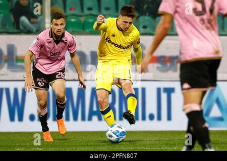 Palermo, Italia. 17th Mar, 2023. Nicola Valente (Palermo) e Fabio Ponsi ...
