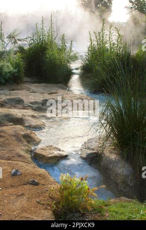 Le Terme di Saturnia, già conosciute in tempi antichi, e oggi ...
