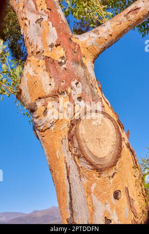 Stadsaal grotte, Cederberg Wilderness, Sud Africa Foto stock - Alamy