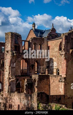 Castello di Heidelberg, una delle più importanti strutture ...