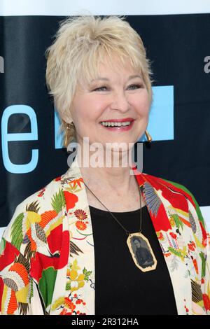 Dance and Dialogue 10th Anniversary Celebration at the Courtyards at ...
