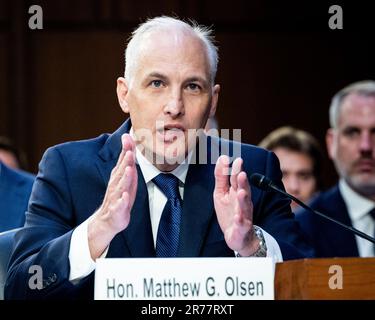 Matt Olsen, Assistant Attorney General of the National Security ...